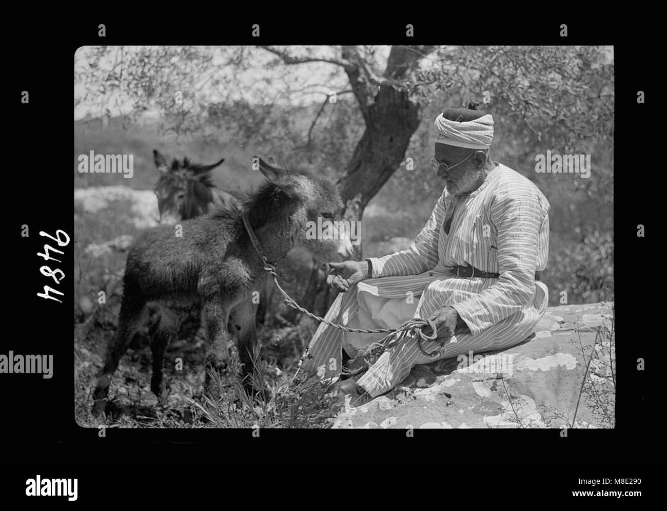 This image depicts a peasant with a baby donkey, capturing rural life ...