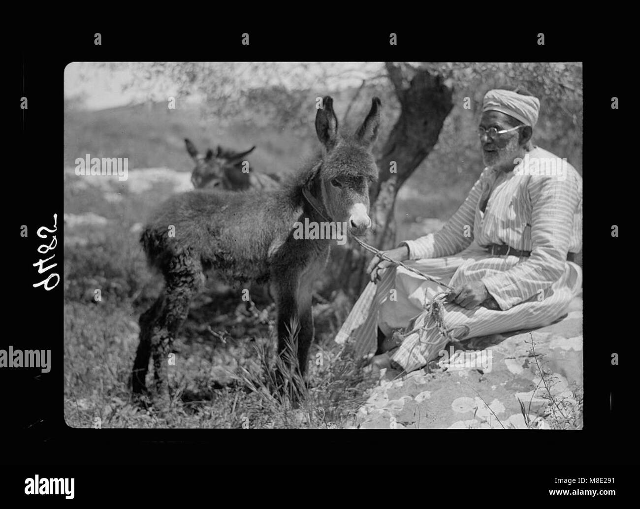 A peasant in a rural setting, accompanied by a baby donkey. The image ...