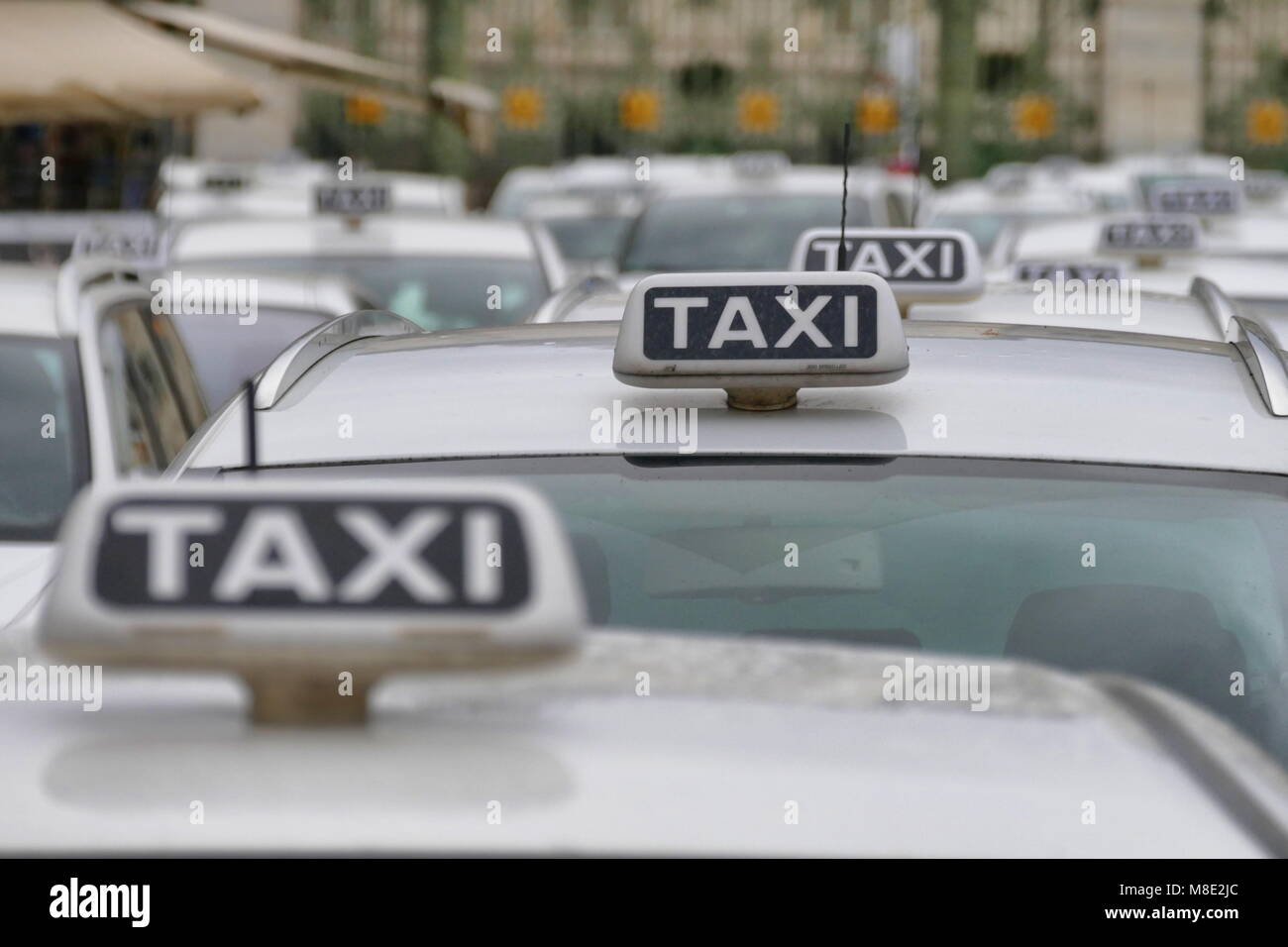 Taxi cab parked in rows waiting customers close up of sign on roof of ...