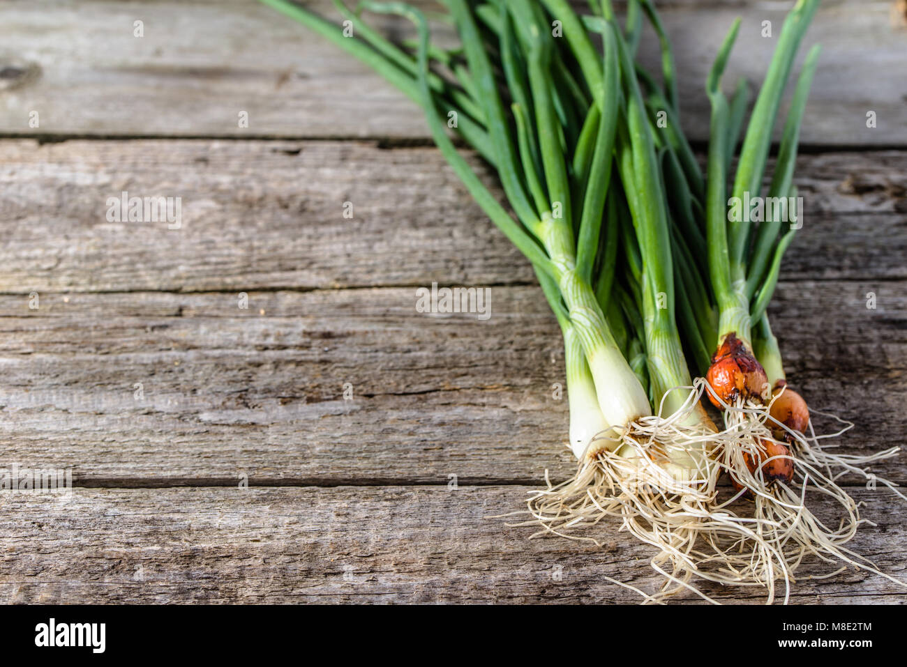 Bunch of green onion, organic vegetables, fresh produce from local ...