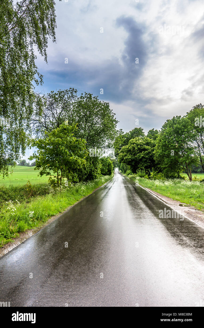Country road, wet after rain in scenery of rural fields at spring ...