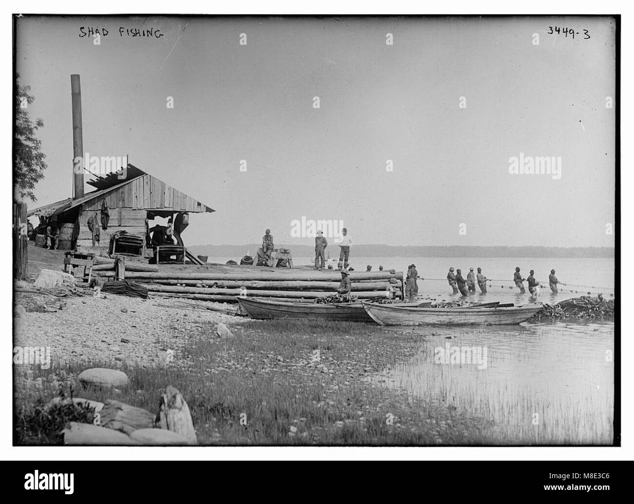 Shad fishing, an important fishery practice in the United States ...