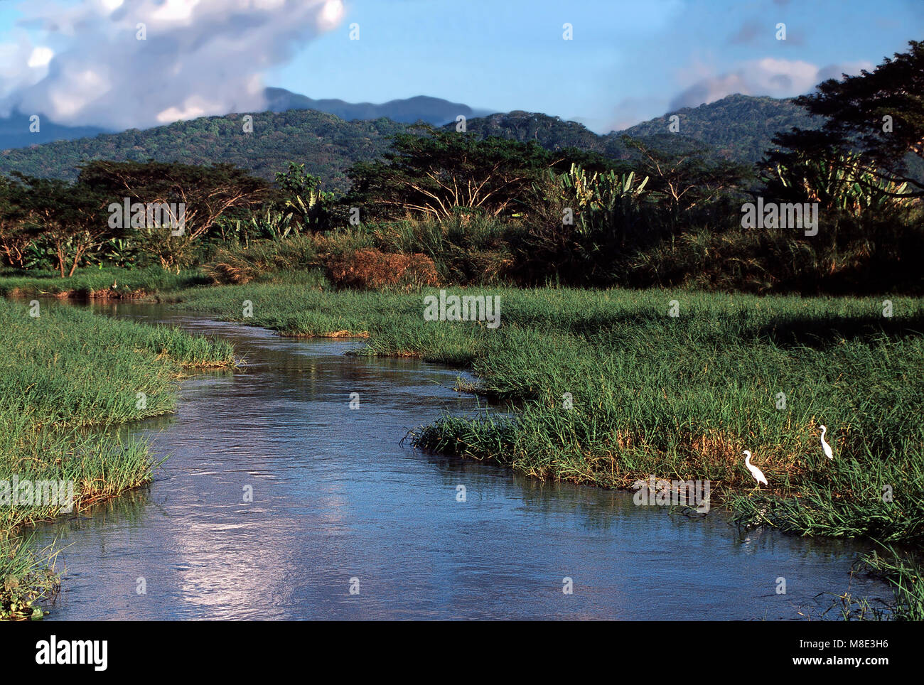 Rios de america hi-res stock photography and images - Alamy