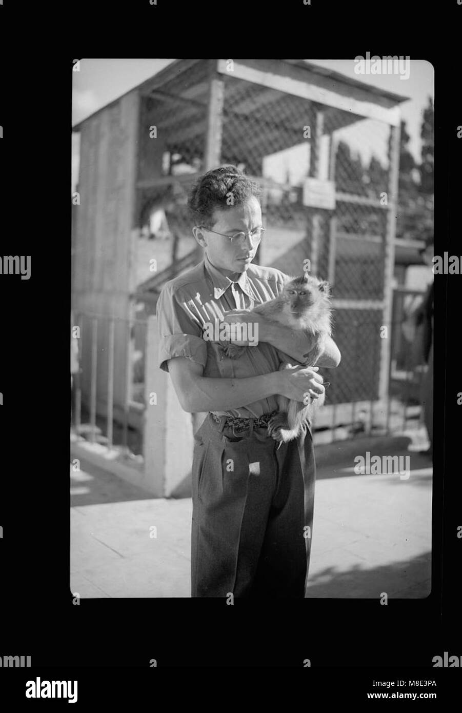 A photograph from the Tel Aviv Zoo showing a man holding a monkey ...