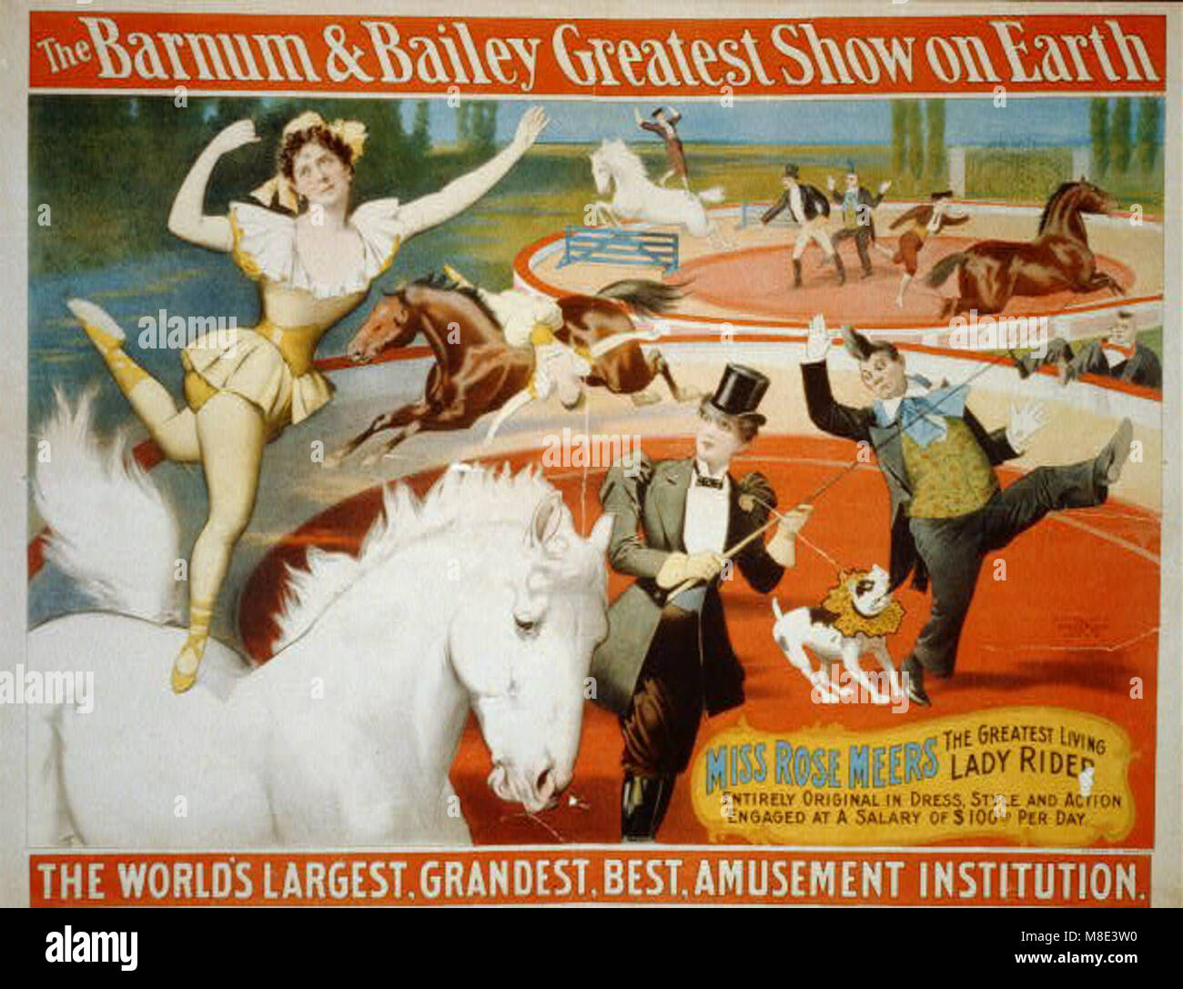 Circus rider hi-res stock photography and images - Alamy