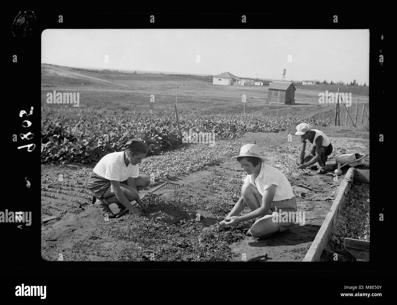 Colony colonist colony colonist hi-res stock photography and images - Alamy