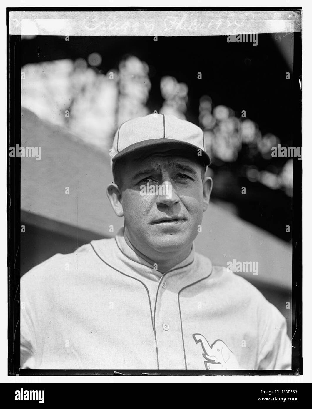 A photograph of Bruggy in Philadelphia, taken in 1924. The image ...