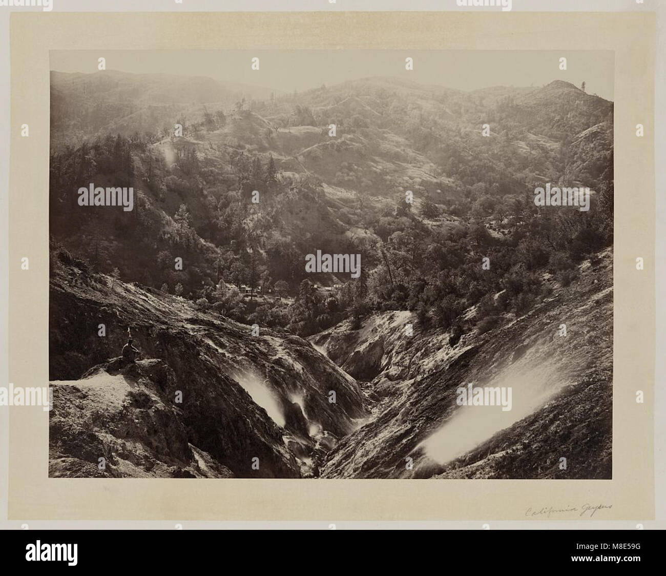 This image captures the famous geysers of California, showcasing the ...