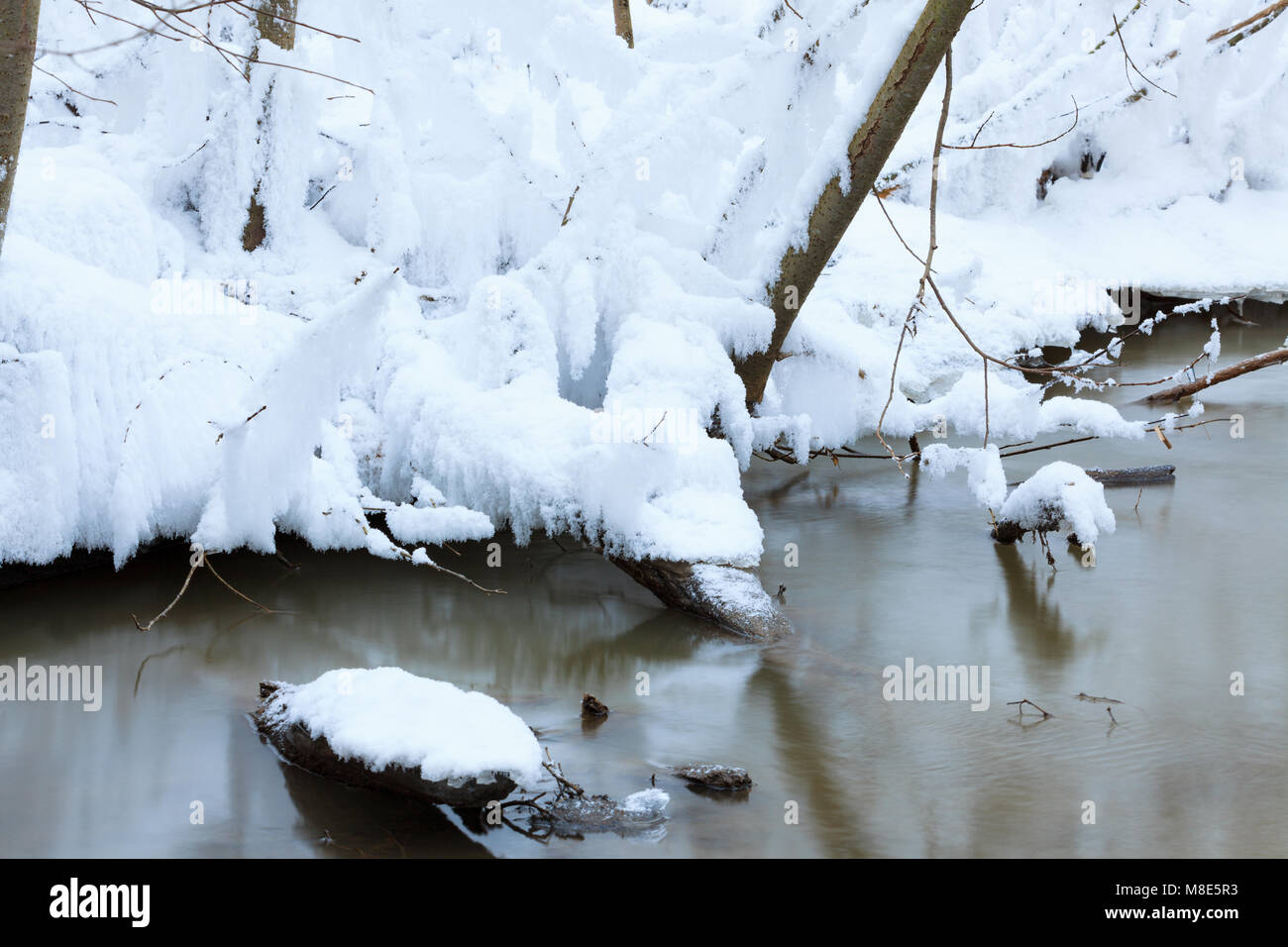 Small stream in winter forest Stock Photo - Alamy