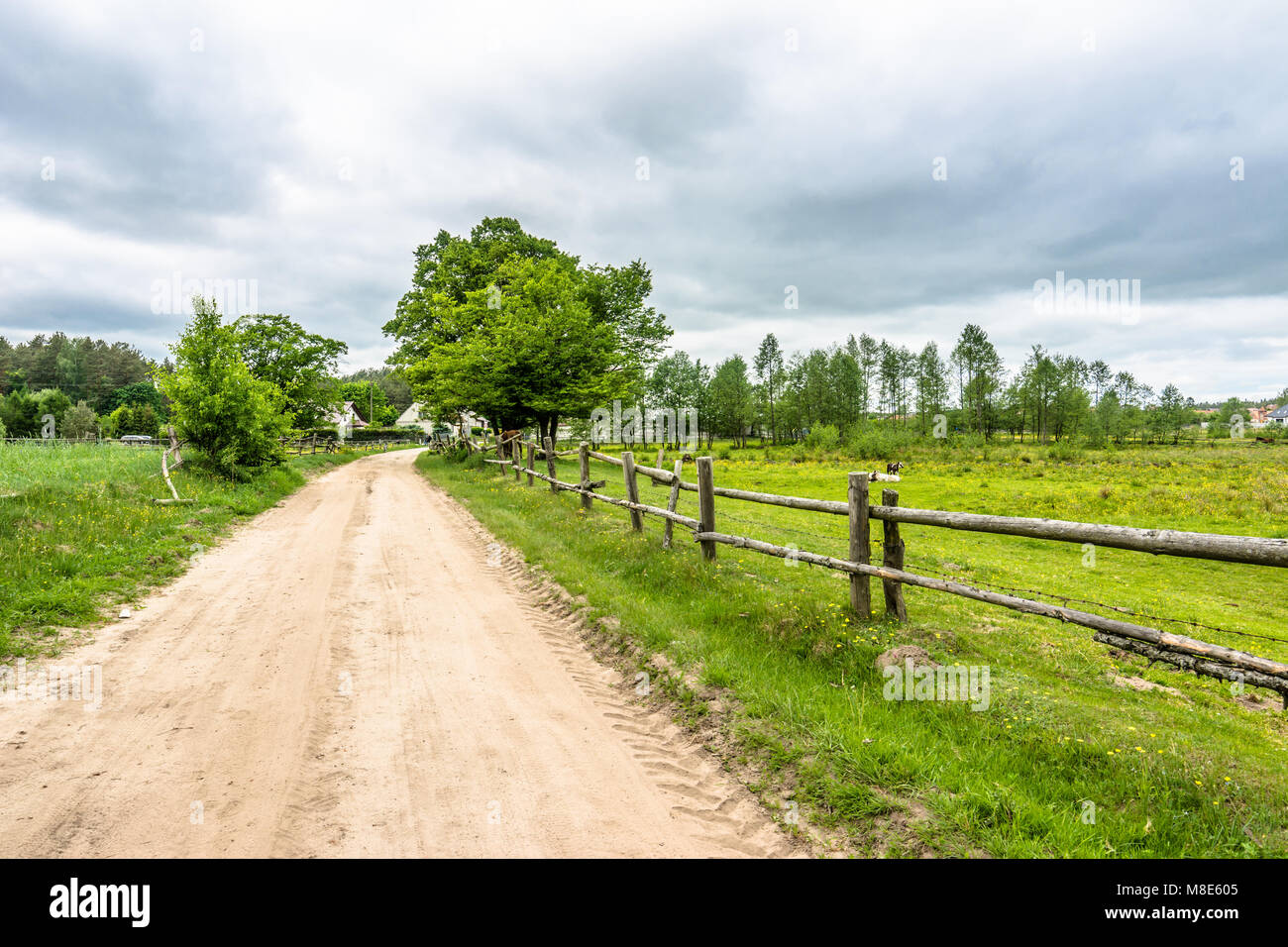 Countryside green field and rural road to the village in the summer ...