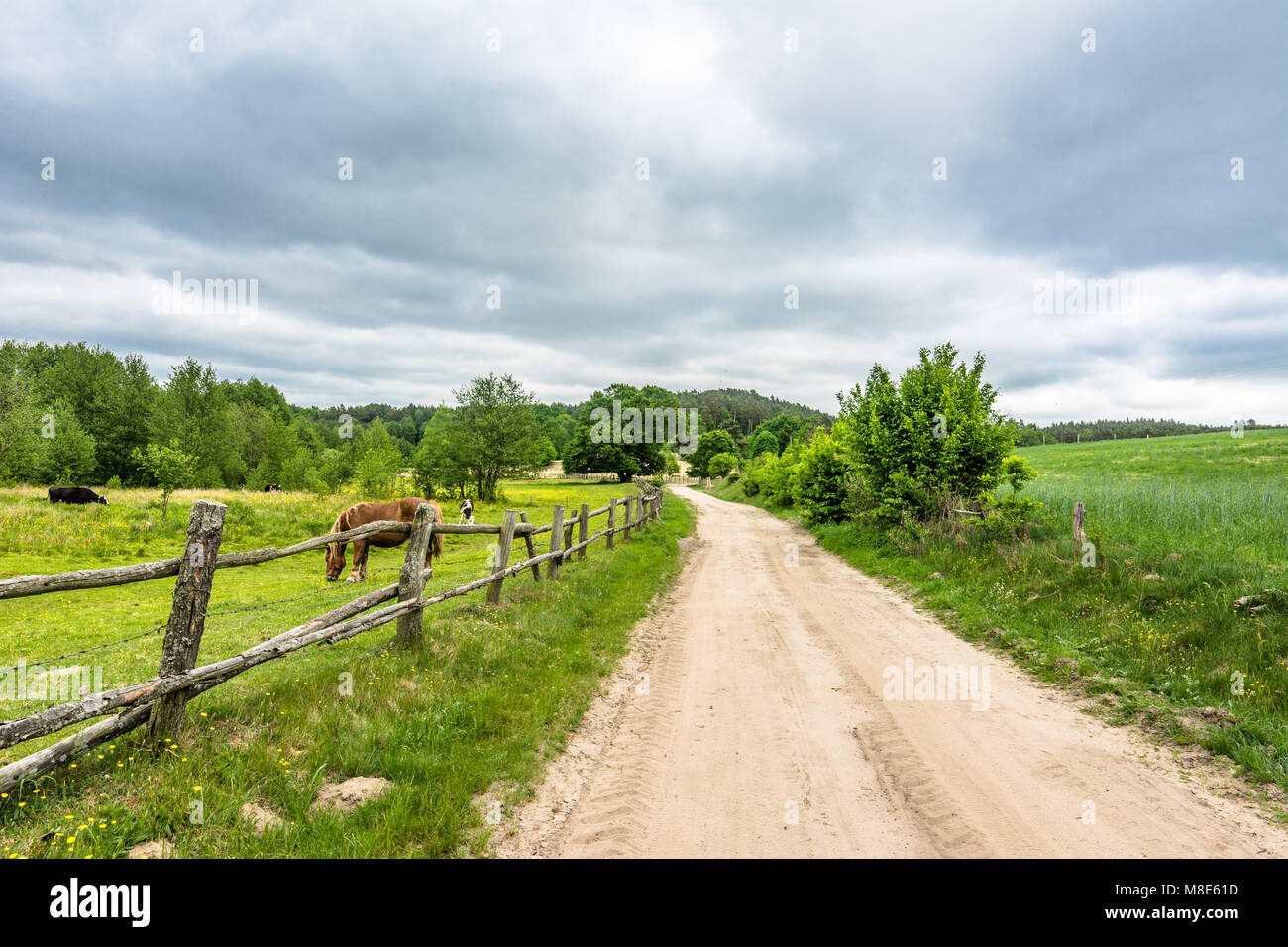 Polish rural road and horse farm in the summer, landscape Stock Photo ...