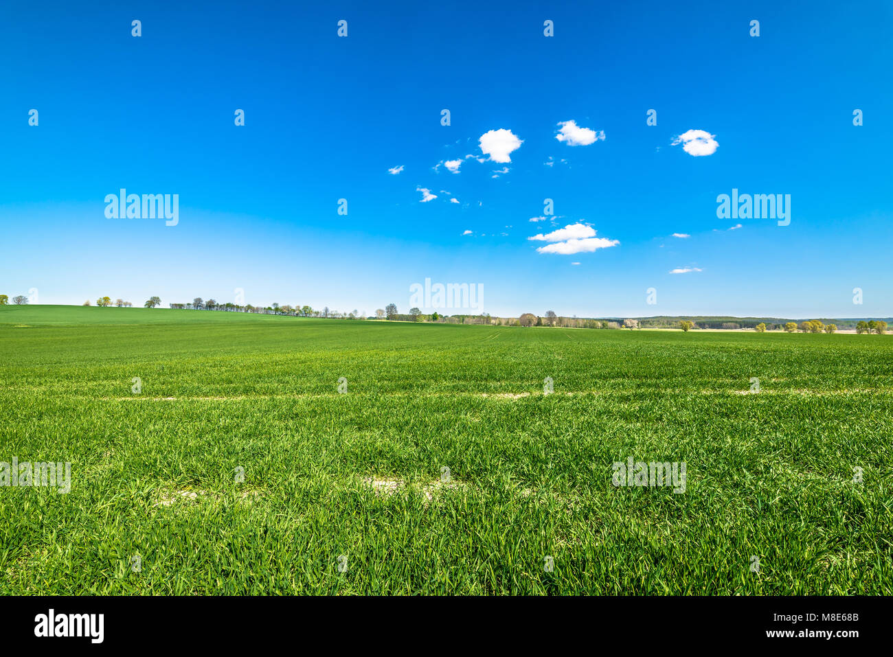 Green field landscape, blue sky on the horizon Stock Photo - Alamy