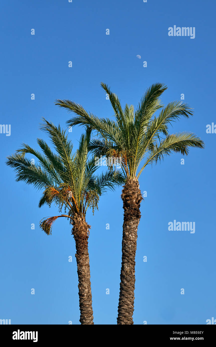 Half moon resort hi-res stock photography and images - Alamy