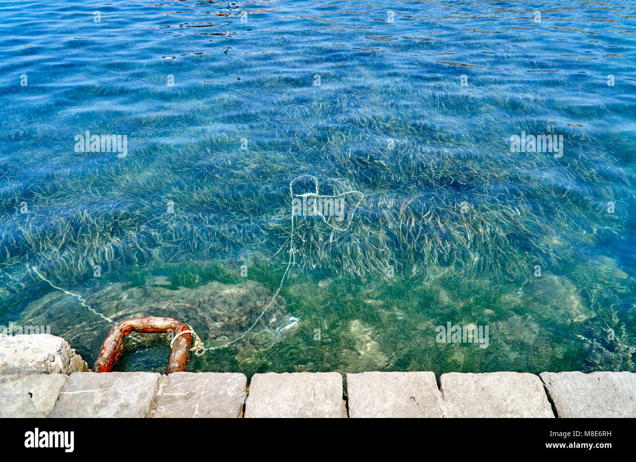 Rusty mooring bracket on grey concrete pier edge on seaweed background ...