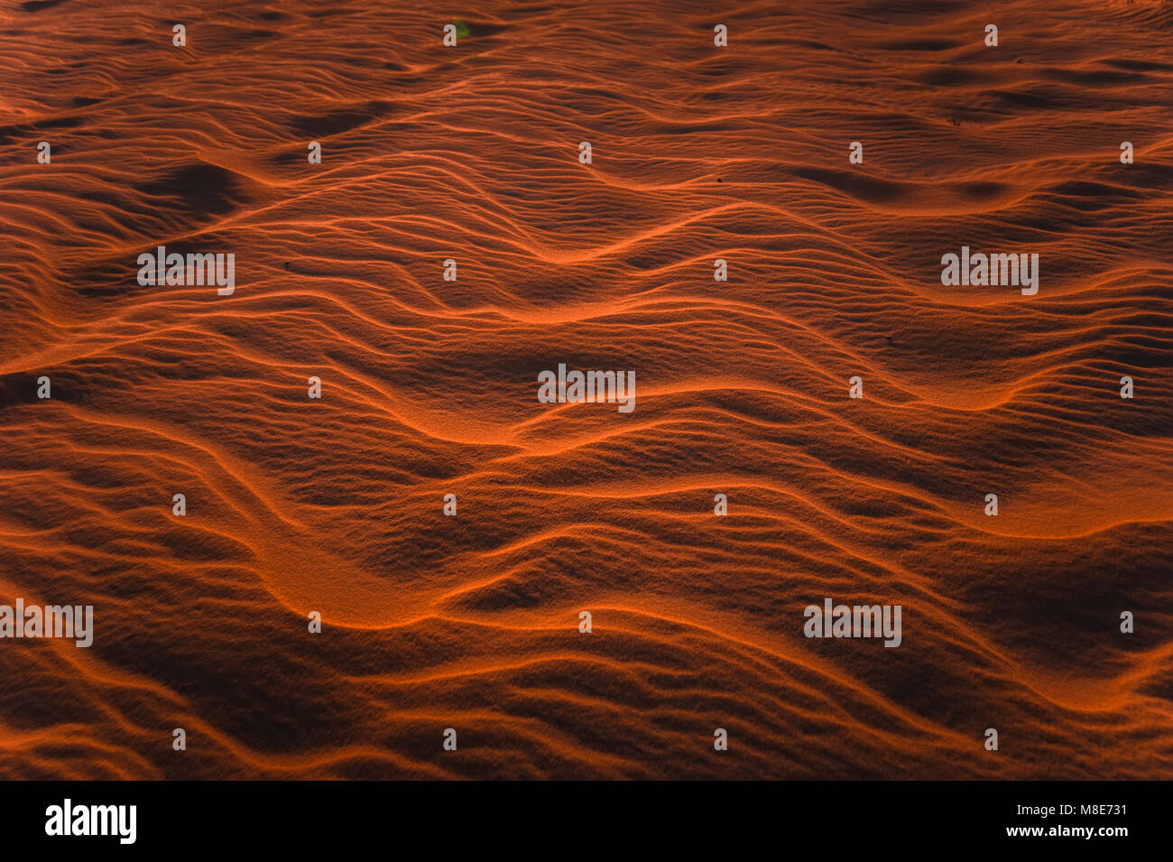 Amazing view of rippled sand dunes texture lit by sunset sun light ...