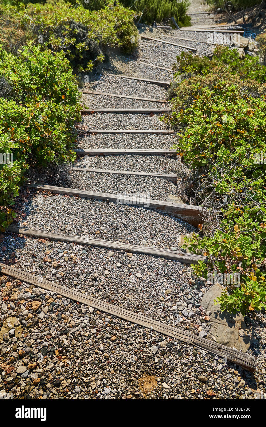 Pathway to the sea hi-res stock photography and images - Alamy