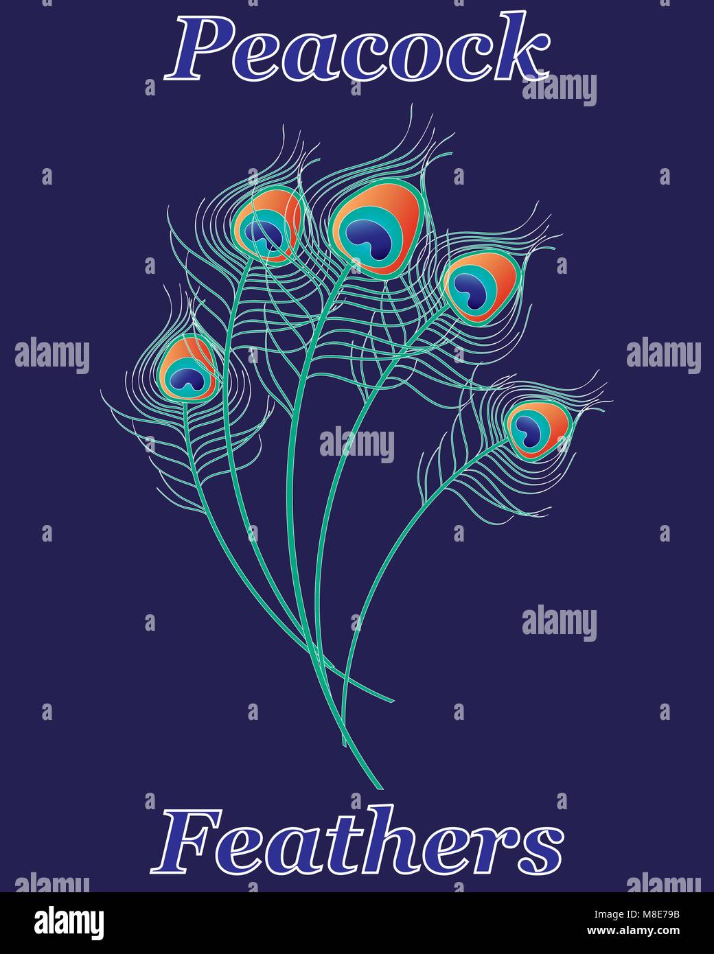 a vector illustration in eps 10 format of bright colorful peacock ...