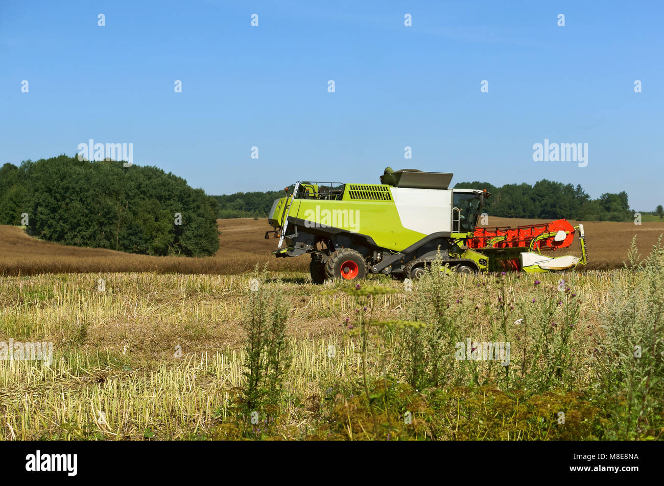 two agricultural machines operate in the field, agricultural land, ain ...
