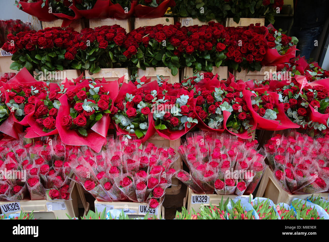 Bunches of roses on display at the florist, Subterranean Flowers ...