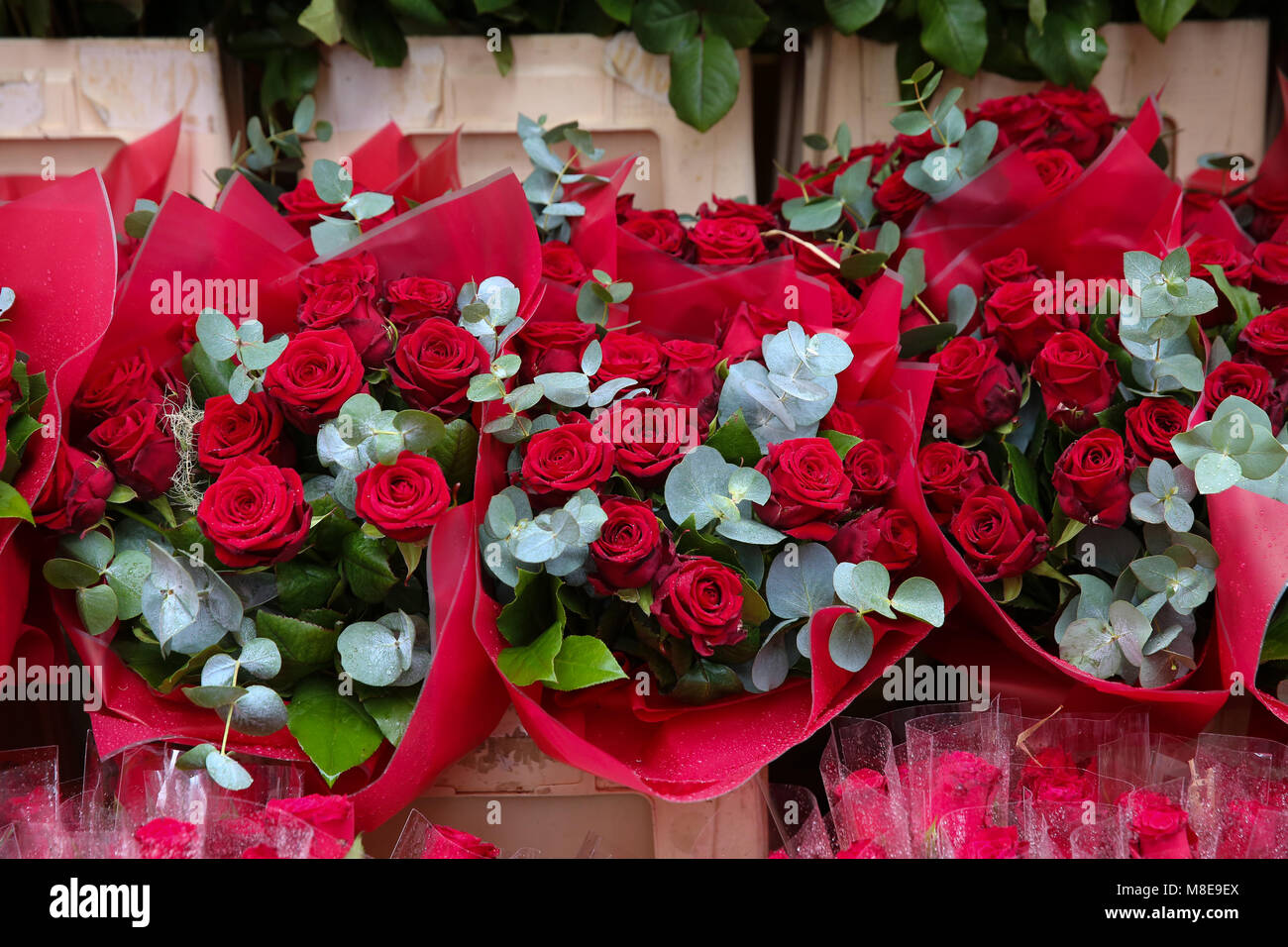 Bunches of roses on display at the florist, Subterranean Flowers ...