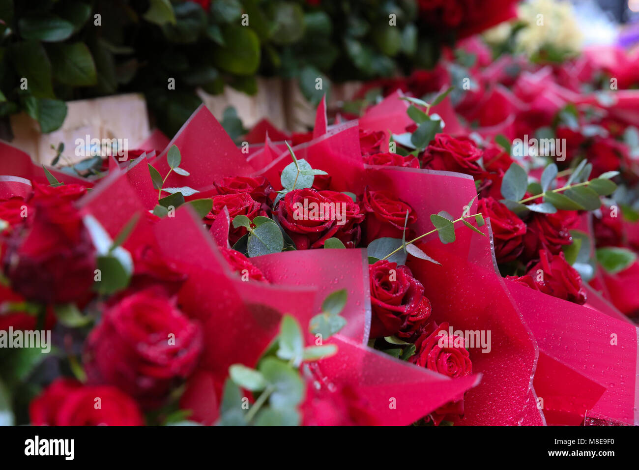 Bunches of roses on display at the florist, Subterranean Flowers ...