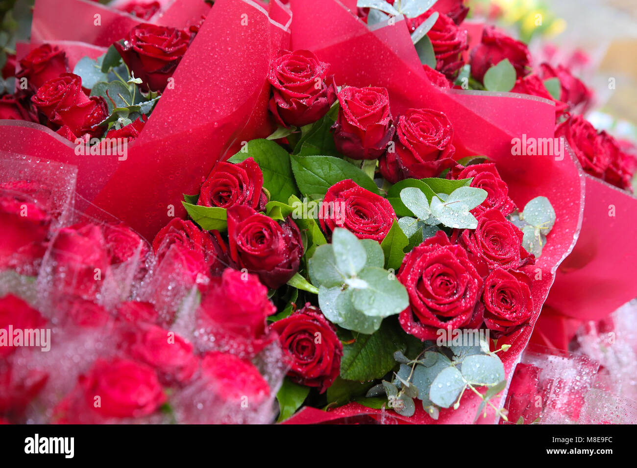 Bunches of roses on display at the florist, Subterranean Flowers ...