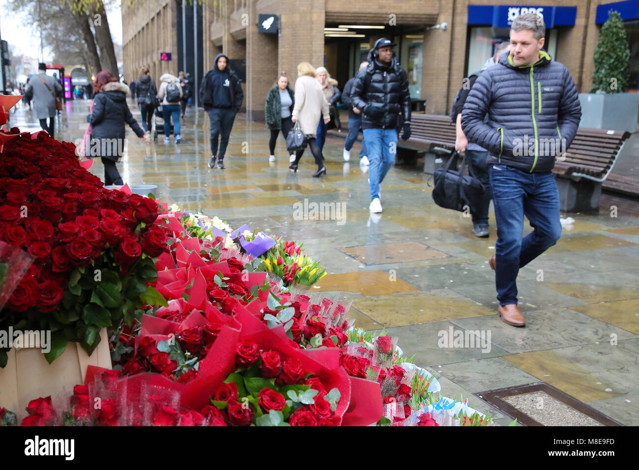 Bunches of roses on display at the florist, Subterranean Flowers ...