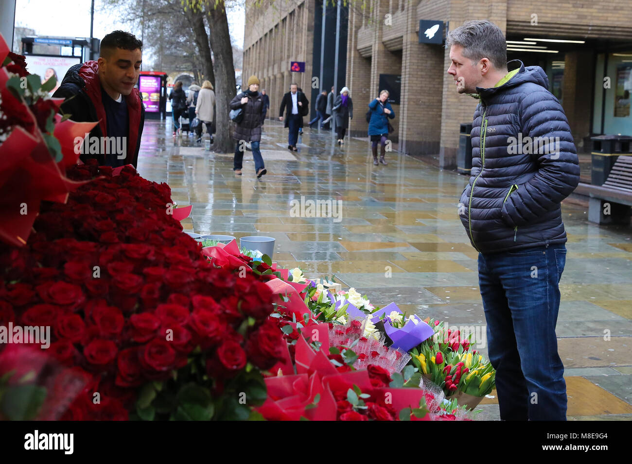 Bunches of roses on display at the florist, Subterranean Flowers ...