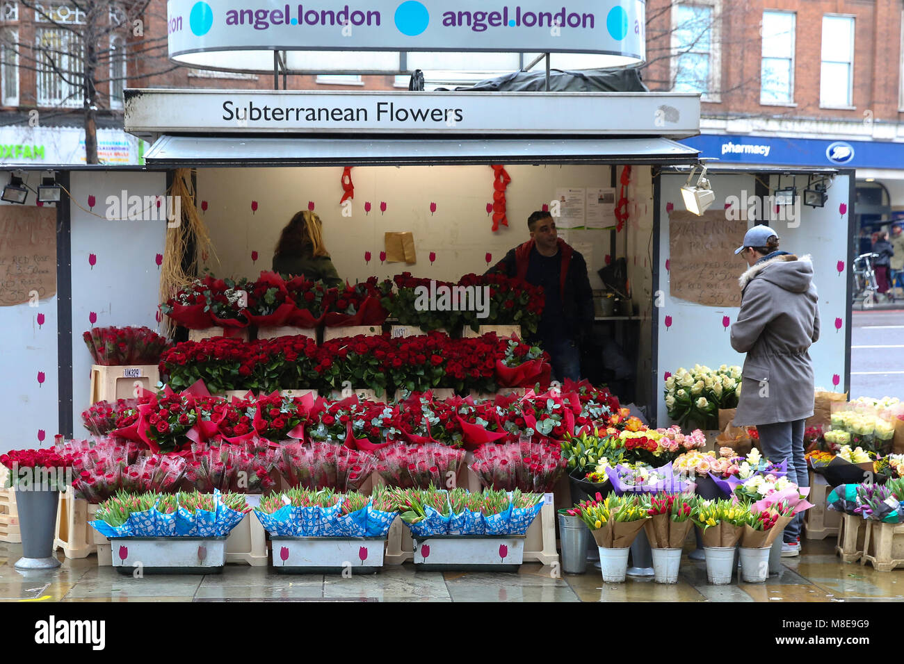Bunches of roses on display at the florist, Subterranean Flowers ...