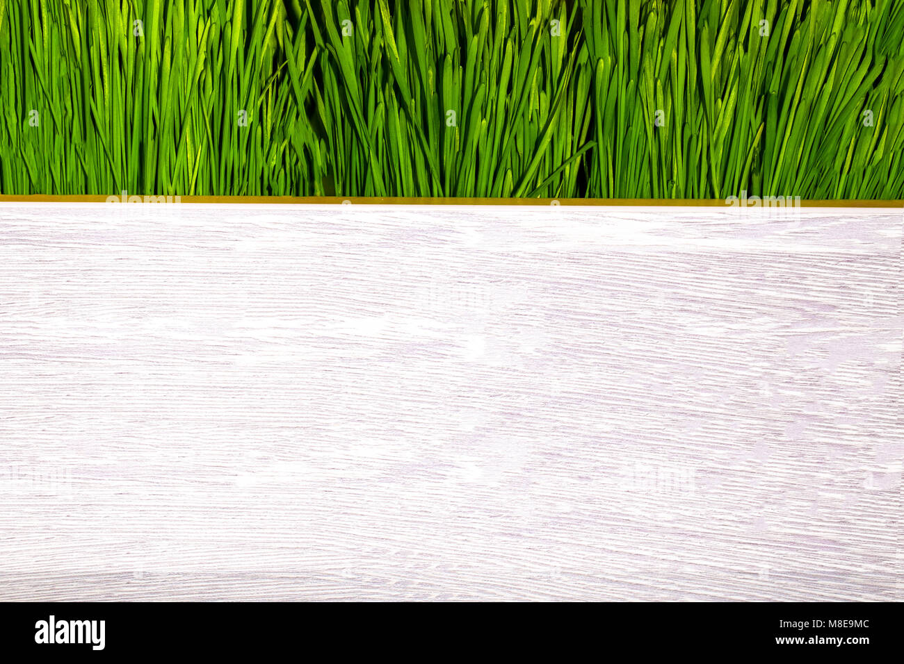 green grass with space for text on a light wooden part, background ...