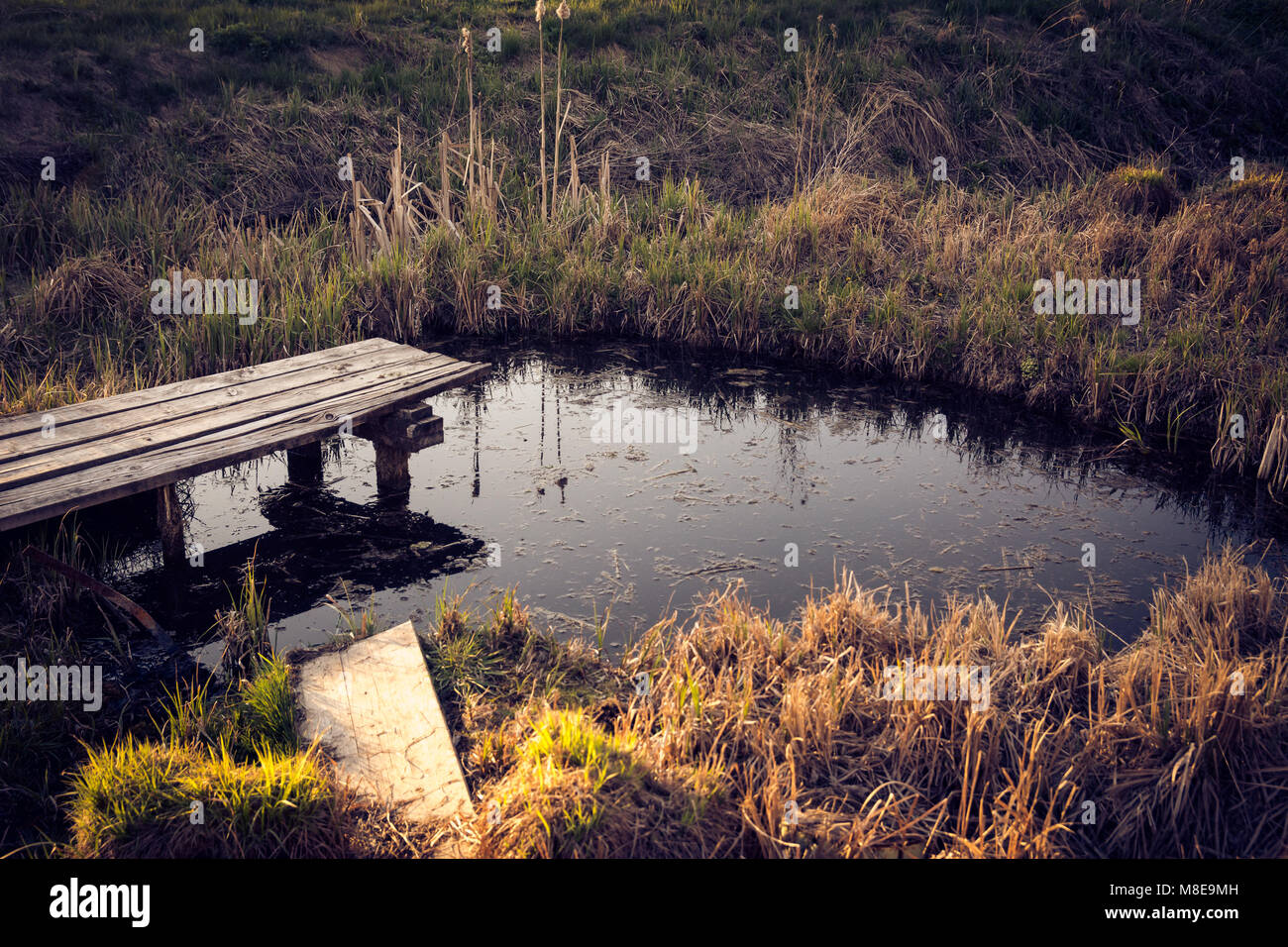 Old wooden path over small pond in garden in early spring in sunset ...