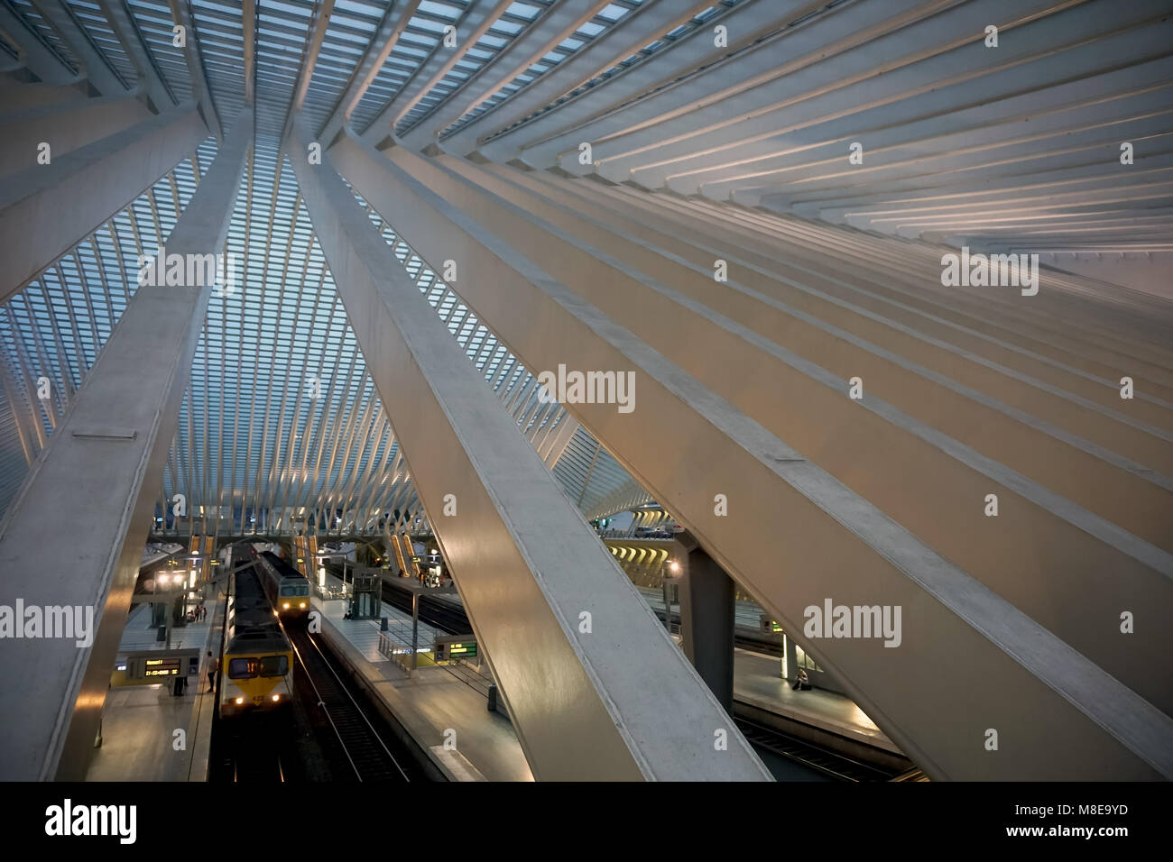Santiago calatrava structure hi-res stock photography and images - Alamy