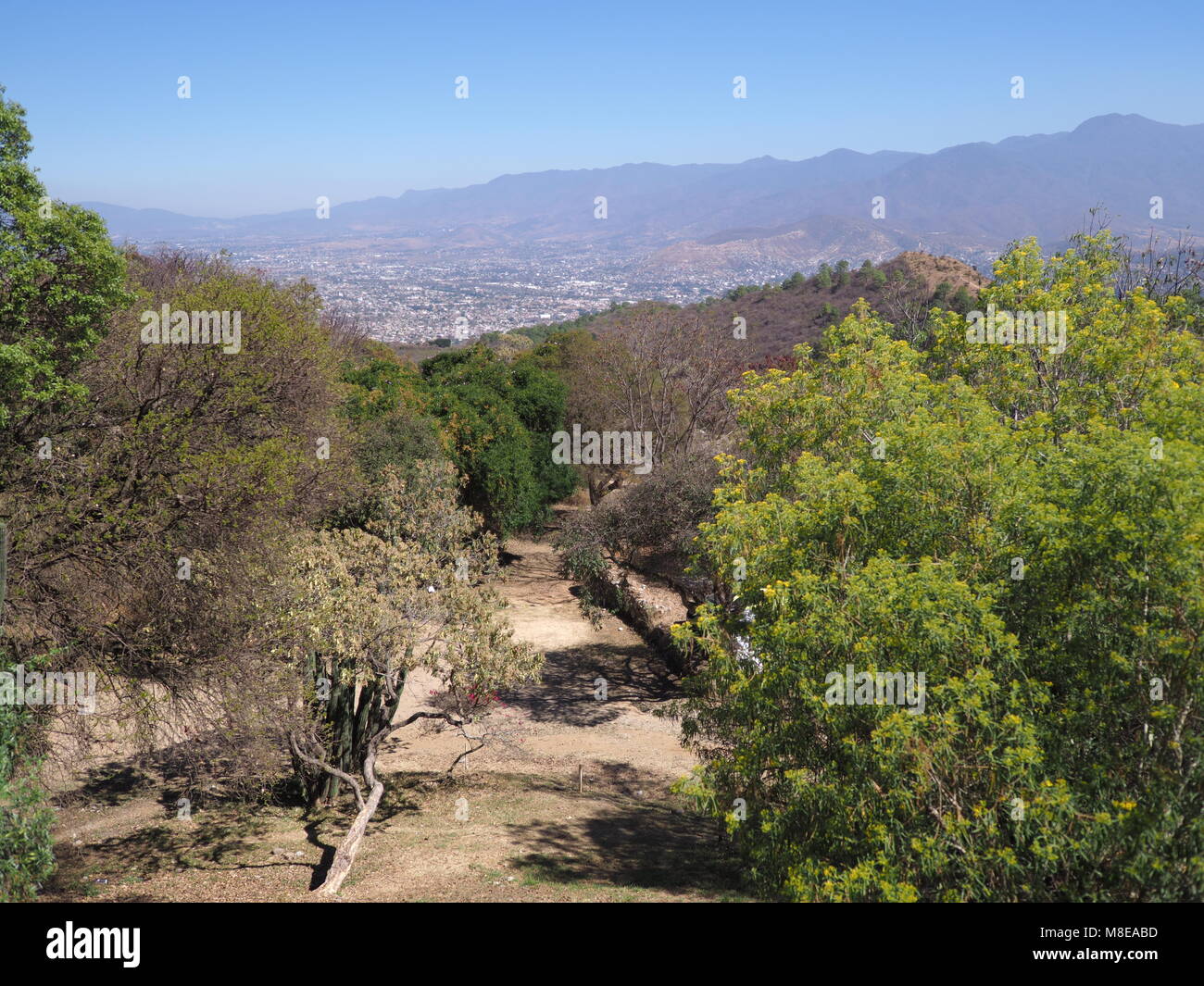 Beauty mexican mountainside path and landscapes with colorful plants ...