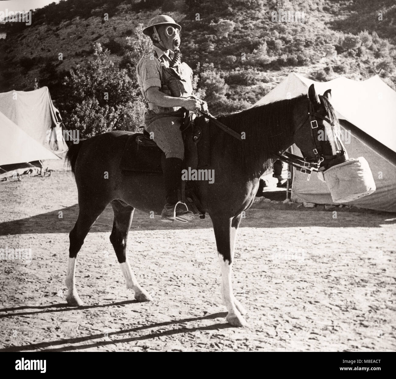 British soldier ww2 portrait hi-res stock photography and images - Alamy