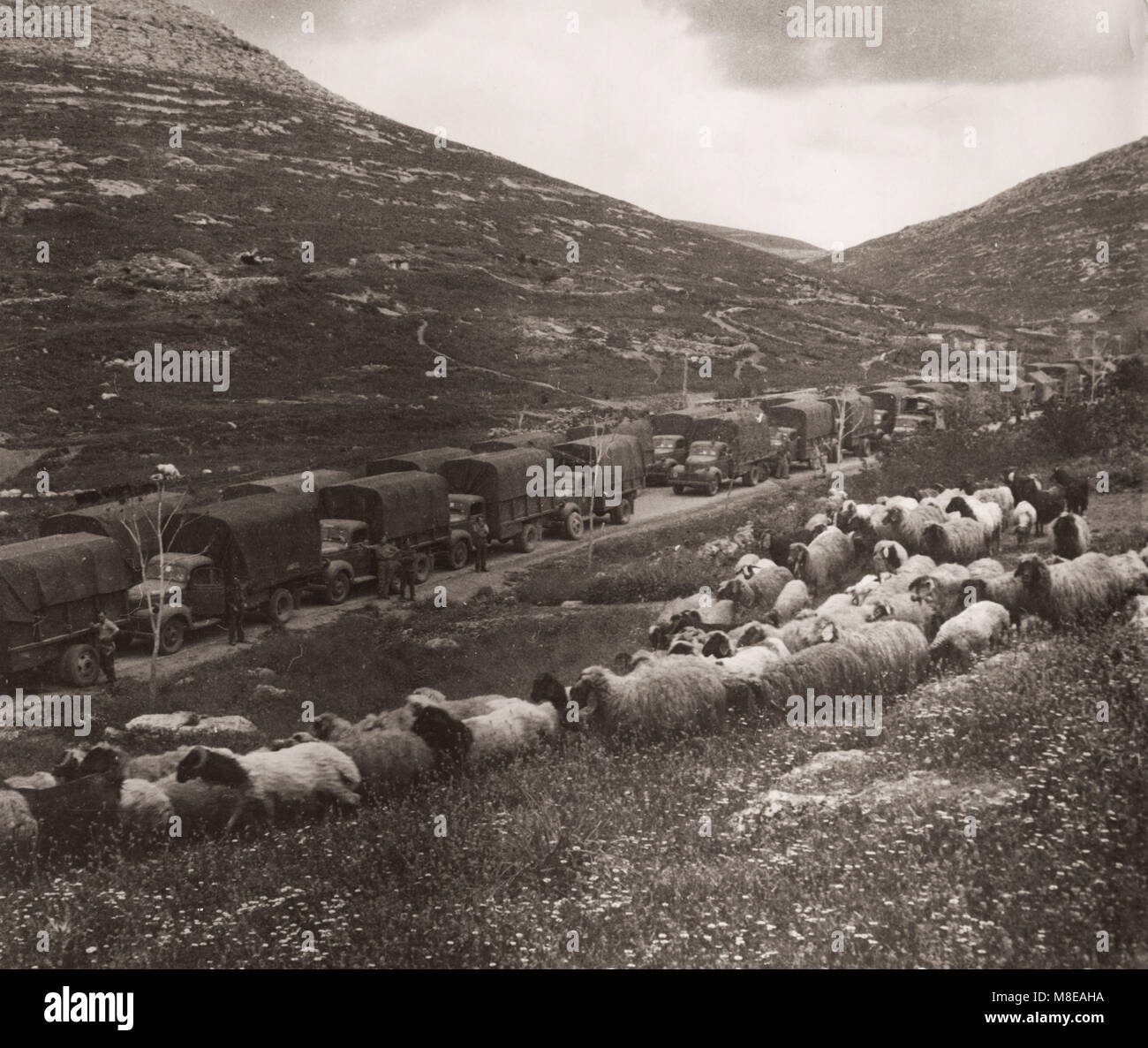 Ww2 british africa convoy hi-res stock photography and images - Alamy