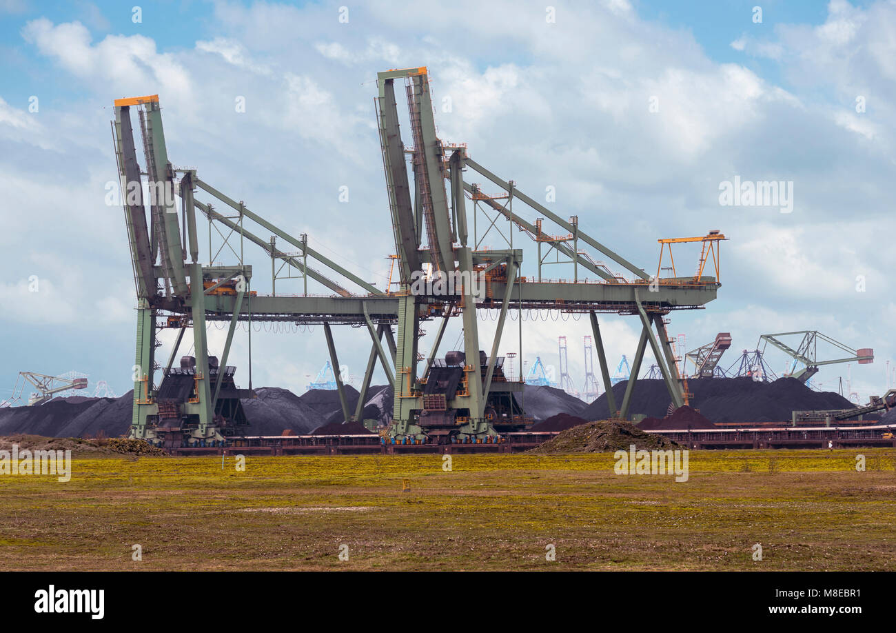 coal transfer in rotterdam harbour Stock Photo - Alamy