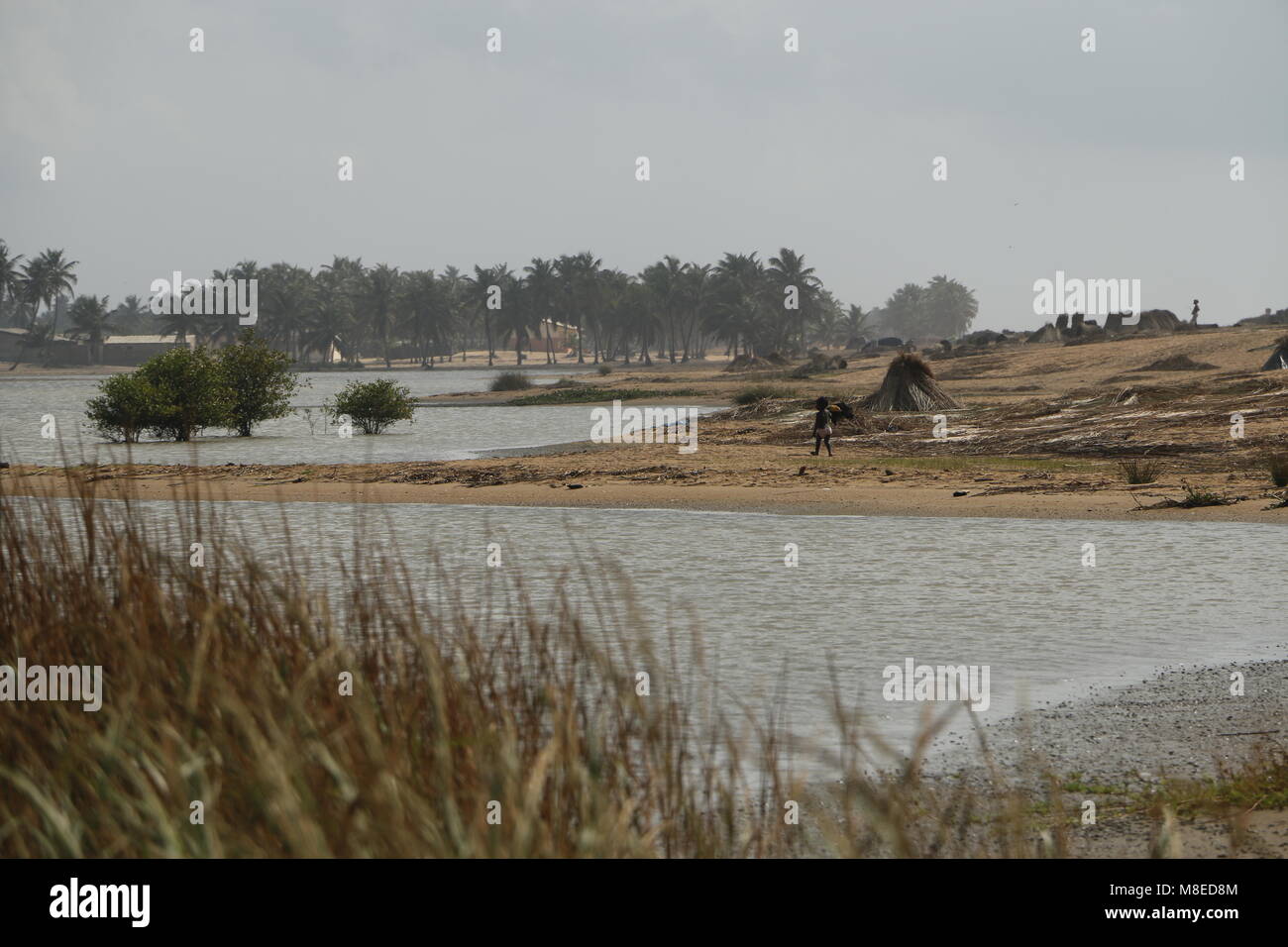 Beautiful environment along the Mono river in Benin Stock Photo - Alamy