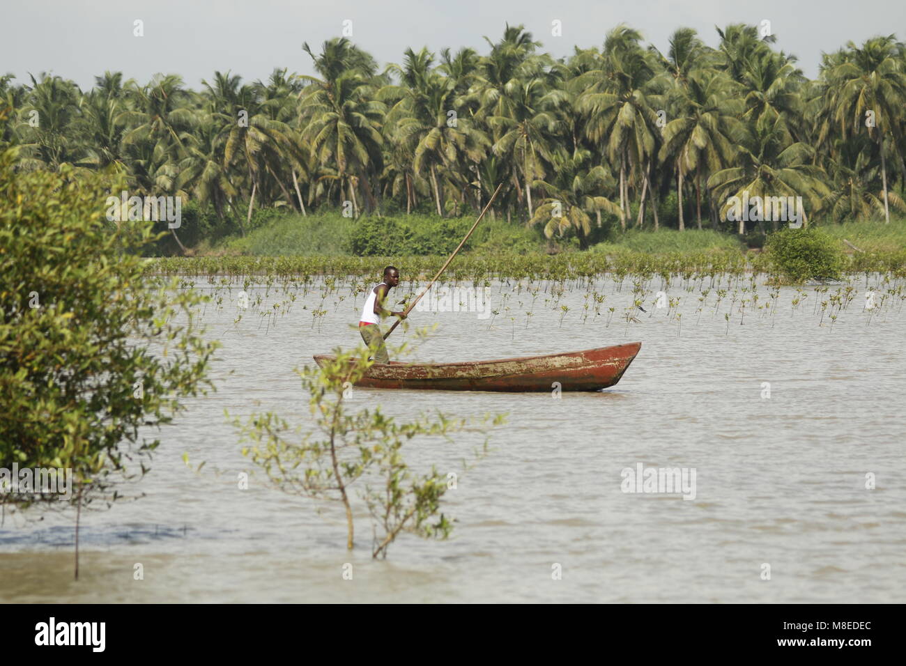 Beautiful environment along the Mono river Stock Photo - Alamy