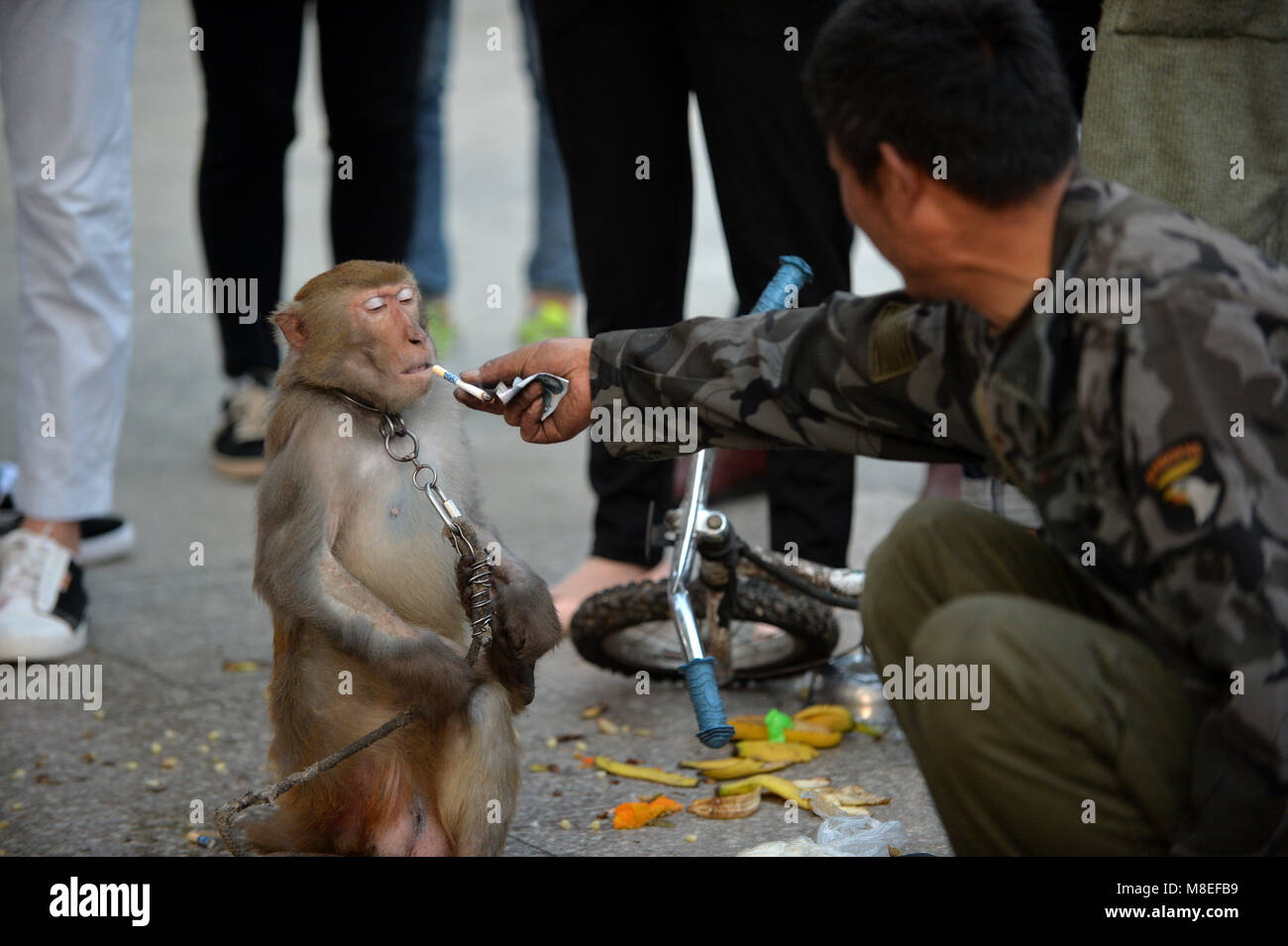 Xuancheng, China. 16th Mar, 2018. A monkey performs on the street in ...
