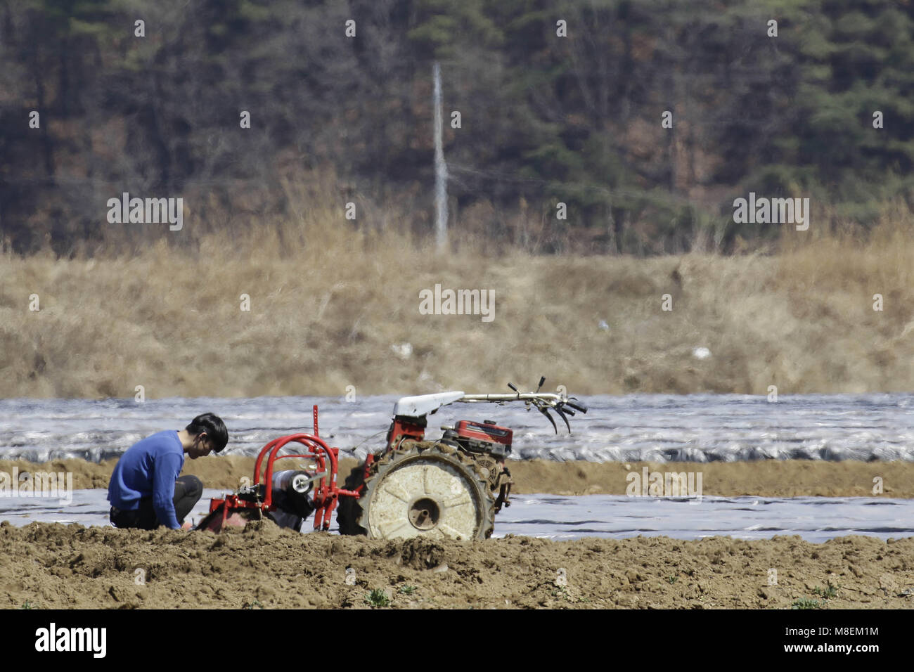 South korea farmers farm agriculture hi-res stock photography and ...