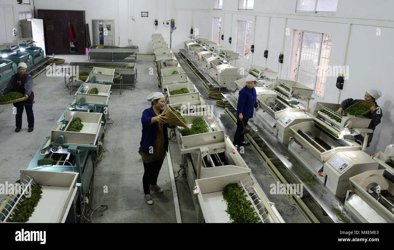 Liping, China's Guizhou Province. 17th Mar, 2018. Workers are busy with ...