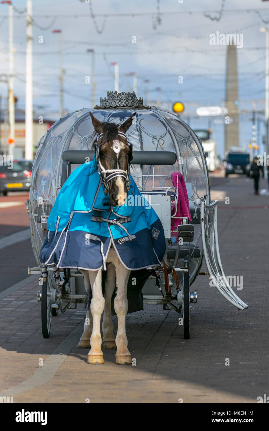 Covered Horse Drawn Cart High Resolution Stock Photography and Images ...