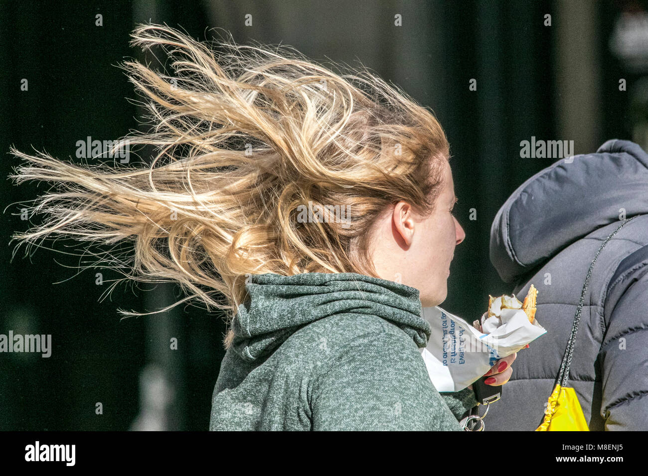 wind,hair,windswept,bad hair day,wind blown hair,long hair,female,face ...