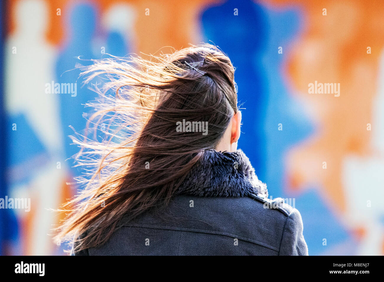 wind,hair,windswept,bad hair day,wind blown hair,long hair,female,face ...