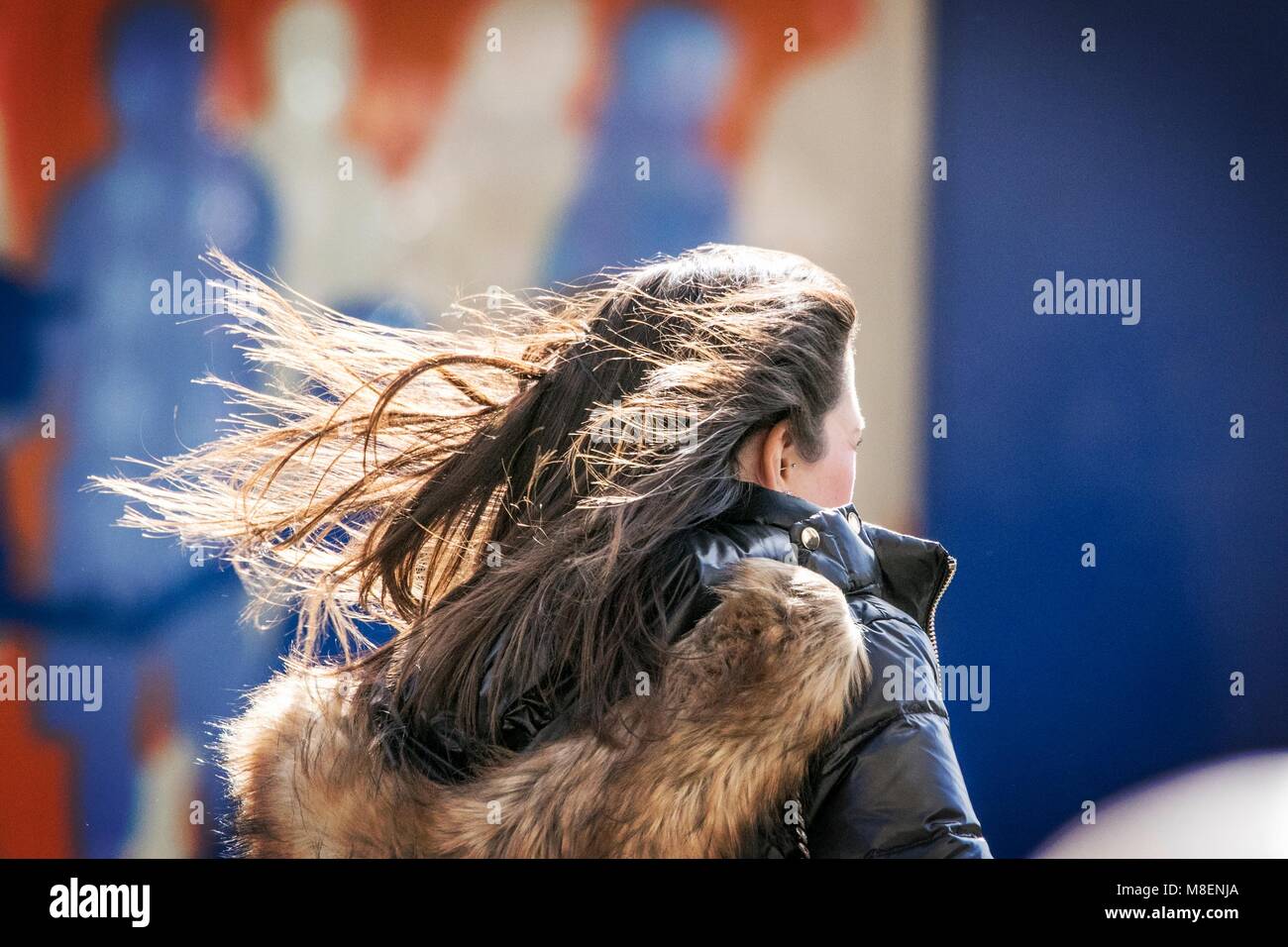wind,hair,windswept,bad hair day,wind blown hair,long hair,female,face ...