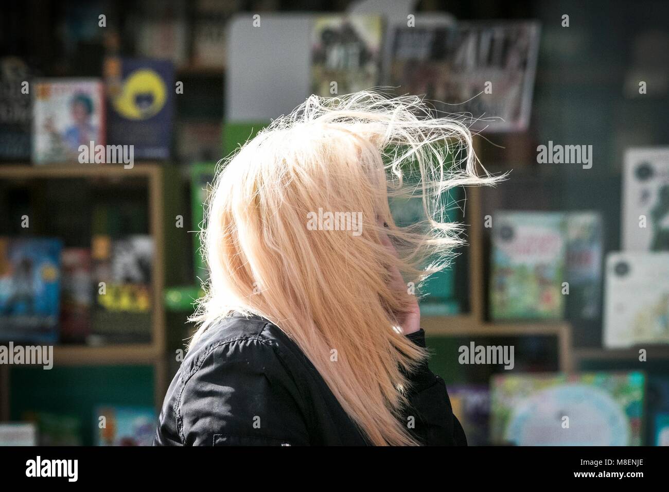 wind,hair,windswept,bad hair day,wind blown hair,long hair,female,face ...
