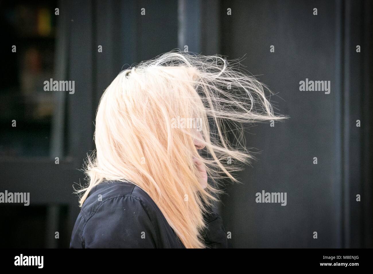 wind,hair,windswept,bad hair day,wind blown hair,long hair,female,face ...