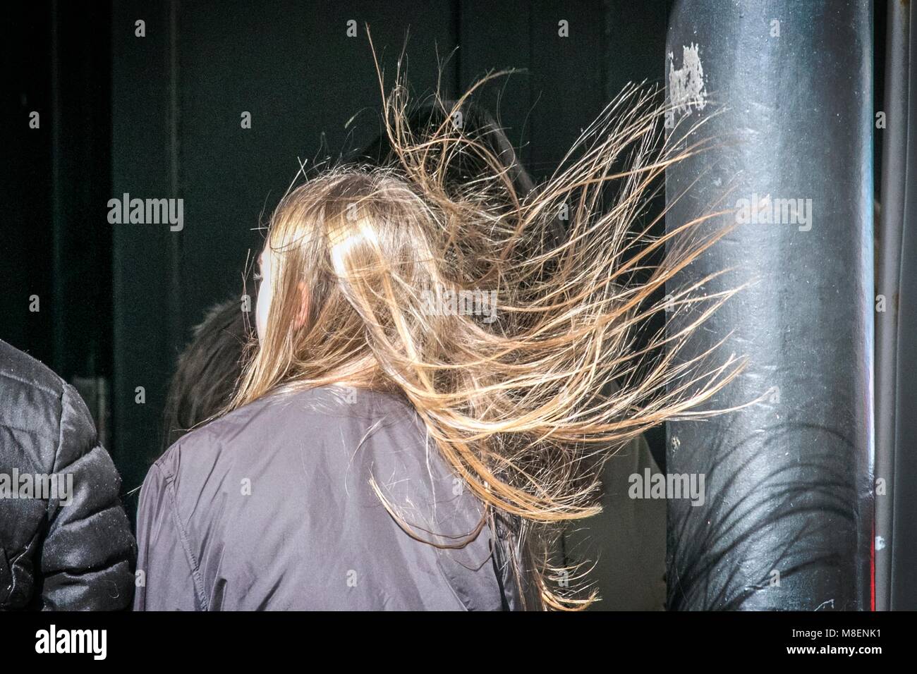 wind,hair,windswept,bad hair day,wind blown hair,long hair,female,face ...