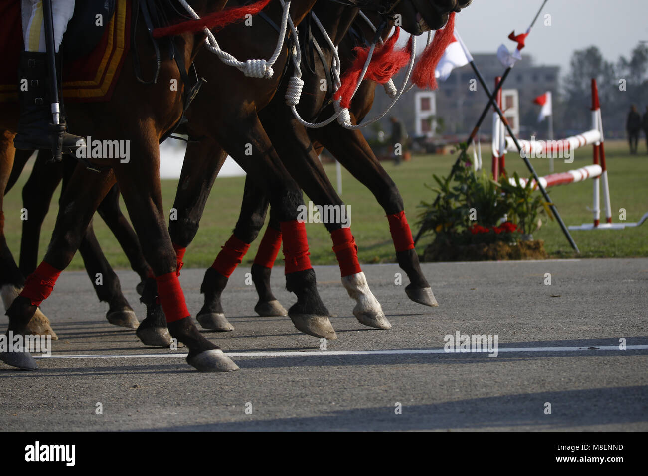 Kathmandu, Nepal. 17th Mar, 2018. Decorated foot of horses are pictured ...