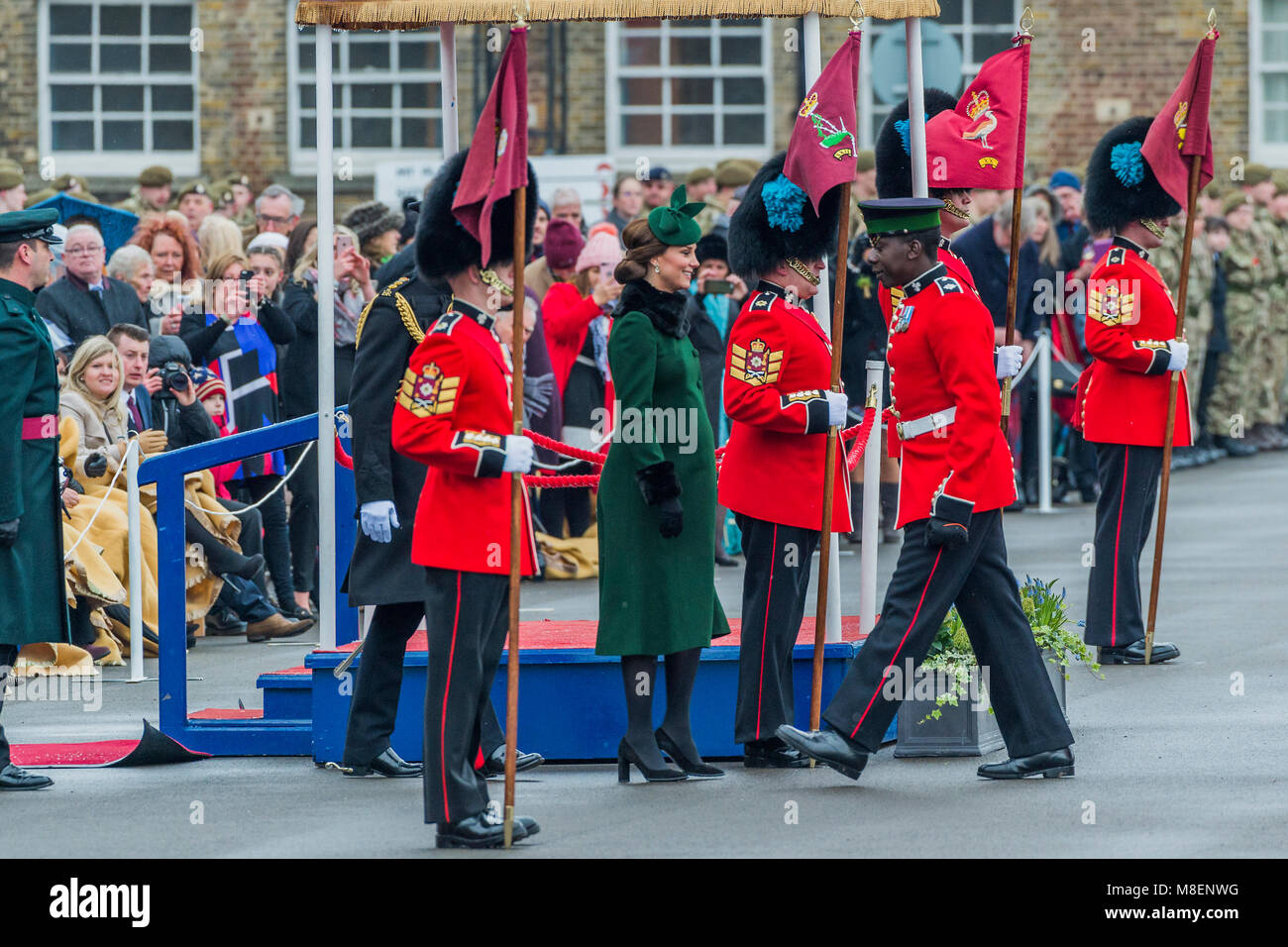 The irish wolfhound mascot 1st battalion irish guards hi-res stock ...